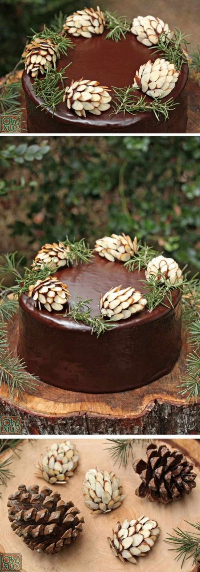 gâteau au chocolat avec des pommes de pins et des branches de sapins ...