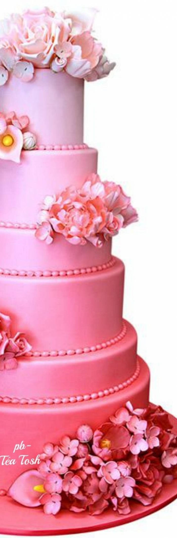 wedding cake en dégrader de rose avec différentes fleurs - 07/08/2020